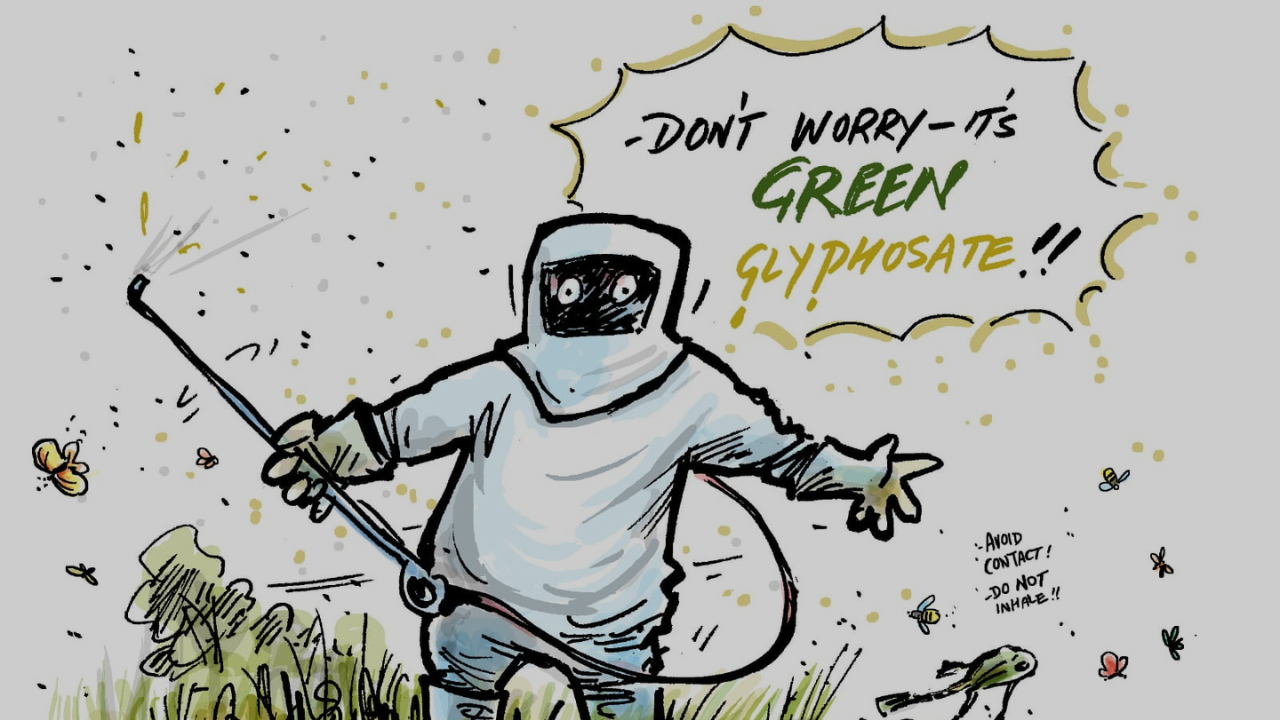 Cape Town’s 10 Million Rand grant controversy → southpeninsulanews.com